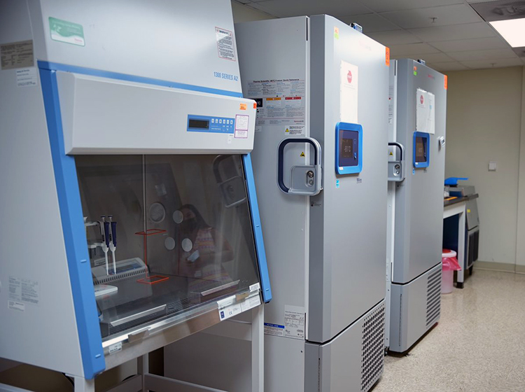 Clinical Research Facilities | College of Medicine – Jacksonville ...