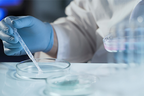 Department of Pathology and Laboratory Medicine | College of Medicine ...